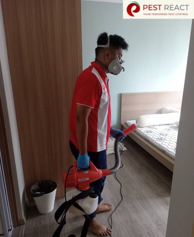 Home - Pest React Pte Ltd