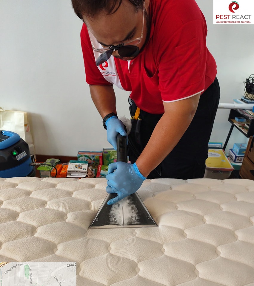 Home - Pest React Pte Ltd