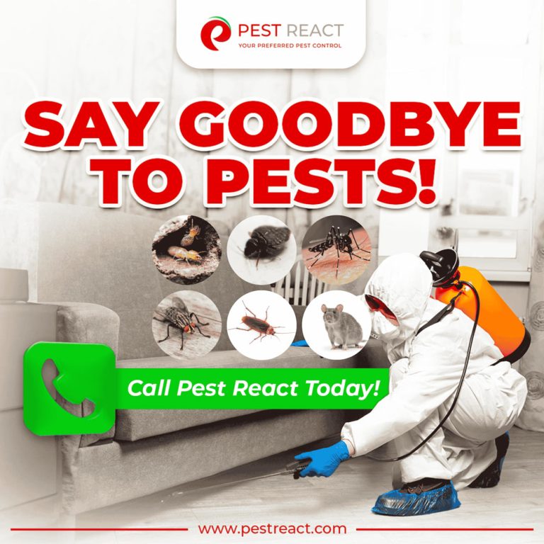 Home - Pest React Pte Ltd